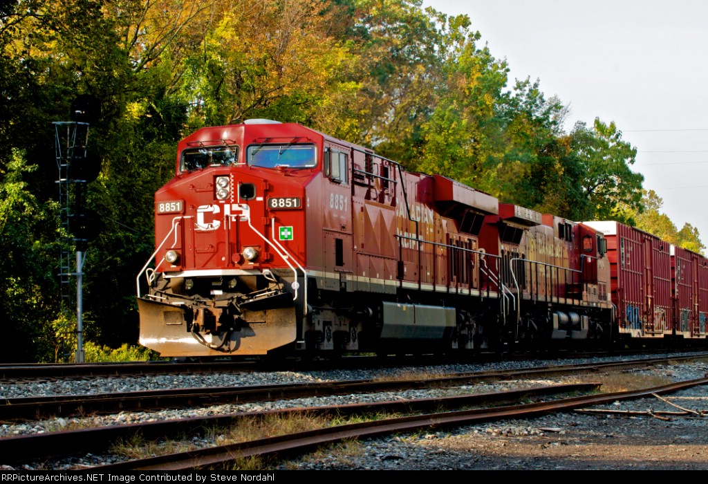 Rare Daylight CP-256